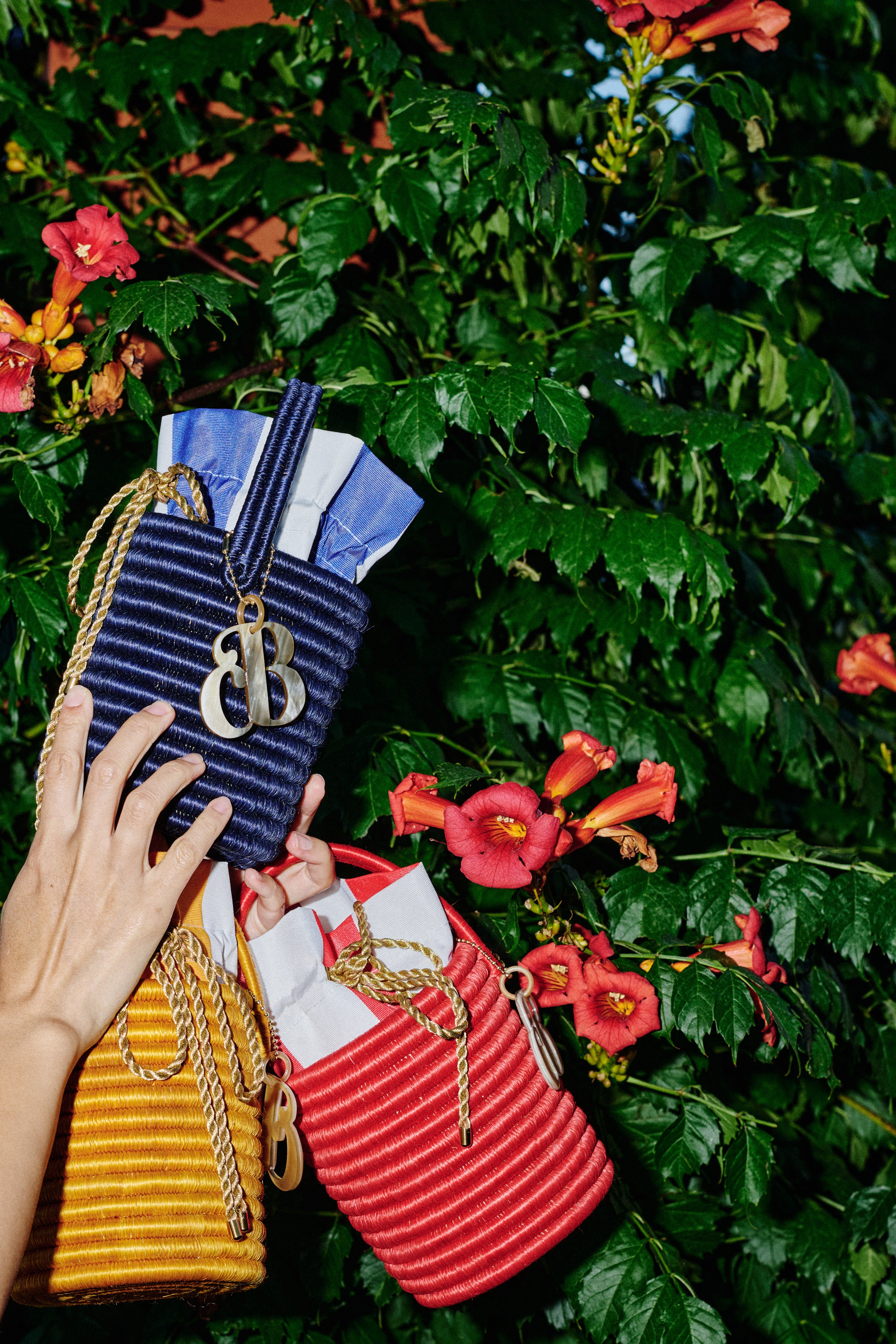 Leandra – Cuckoo B